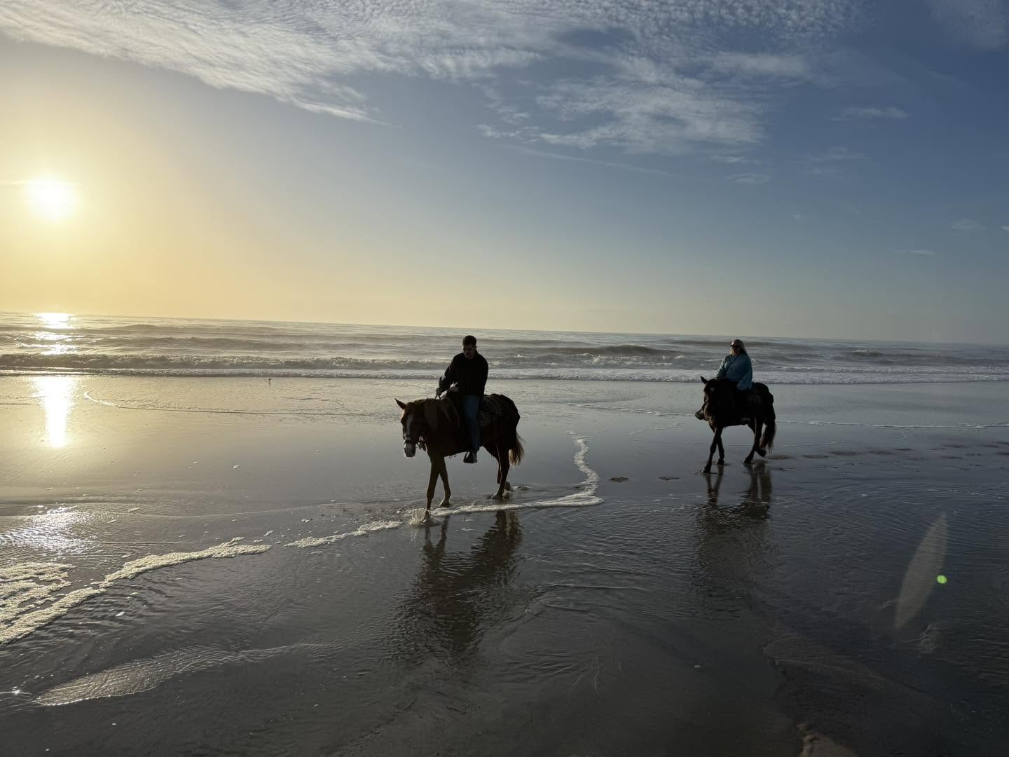 Why a Smooth-Gaited Horse Makes All the Difference on the Beach ...